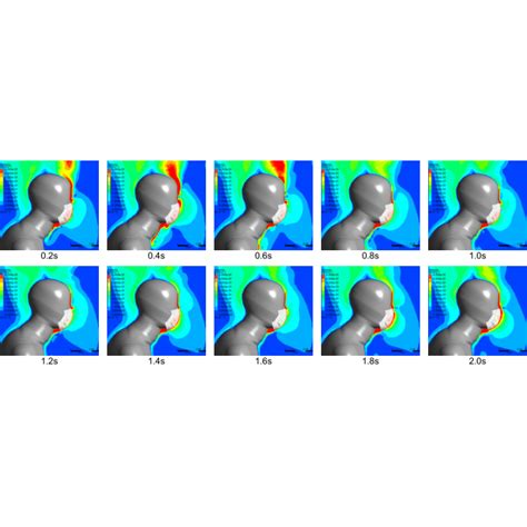 Computational Fluid Dynamics Simulated Air Velocity Distribution Within
