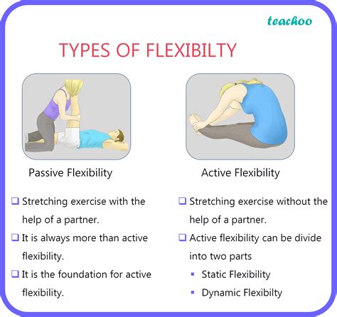 Flexibility Exercises Examples