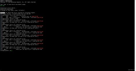Linux 启动与停止jar包服务器启动jar包 Csdn博客