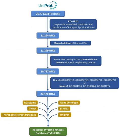 Biomolecules Free Full Text Proteome Wide Detection And Annotation