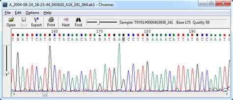 Chromas Technelysium Pty Ltd