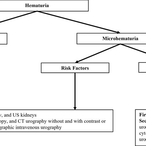 AUA Guidelines Diagnostic Algorithm For Clinical Variants And Download Scientific