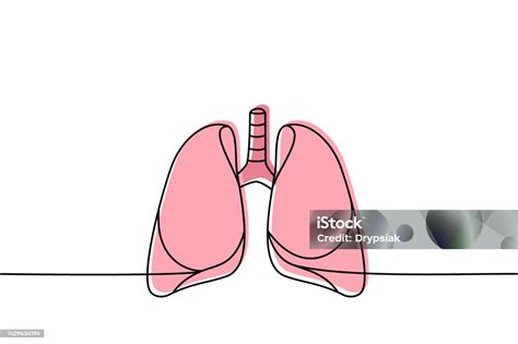 인간의 폐는 한 줄로 채색 된 연속 도면 인간 장기 연속 다채로운 한 줄 그림 벡터 미니멀리스트 선형 일러스트레이션 건강관리와