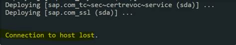 Sap Java Component Patch Updatesca Using Telnet Sap Community
