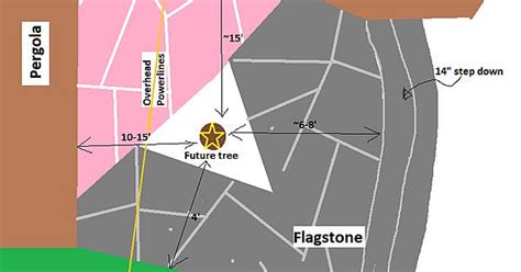 New Tree Location Imgur