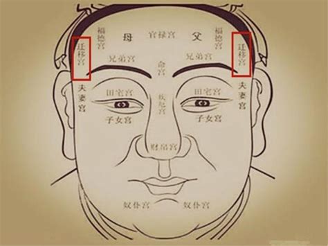 面相十二宫迁移宫解释