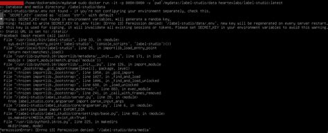 Label Studio Problems Running A Docker Container Maybe Permission