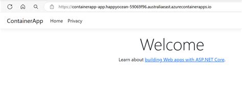Net Error Manifest Unknown When Publishing A Standard Aspnet Core