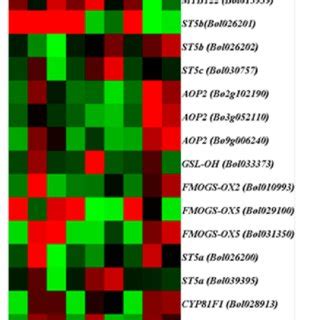 Figure S1 Heat Map Representation Of Expression Pattern Of