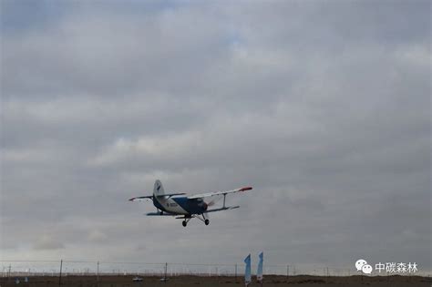 Medium Sinoay Forest Xinjiang Institute Of Ecology And Geography Chinese Academy Of Sciences
