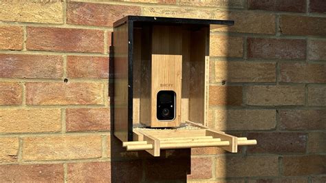 Netvue Birdfy Bamboo Review The Sustainable And Stylish Bird Feeder