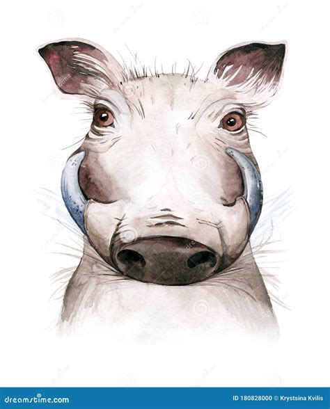 Warthog Illustration Drawing Engraving Ink Line Art Vector 135192975