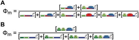 Graphical Representations Of Thermodynamic Cis Regulatory Download Scientific Diagram