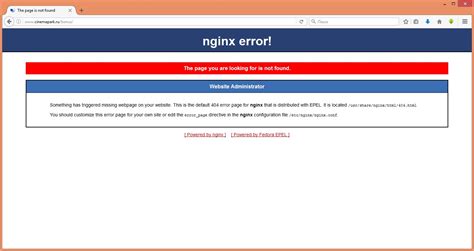 Панбагон nginx error при просмотре программы лояльности Жизнь это