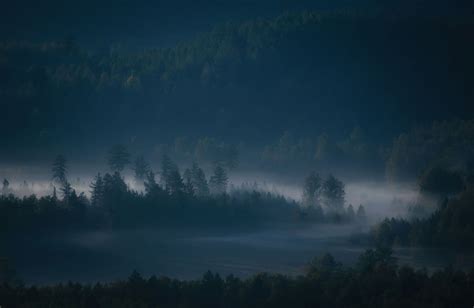 Ai Carousel Generator Professional Guide 2024