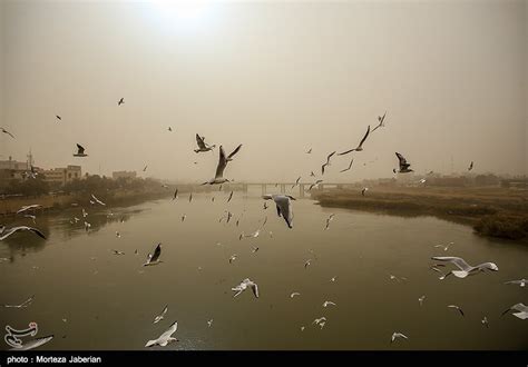 خوزستان وقوع طوفان گرد و خاک مرز در مرز چذابه هیچ خسارت جانی و مالی