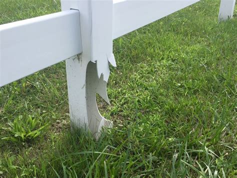 How To Replace A Broken Vinyl Fence Post At Douglas Reddin Blog