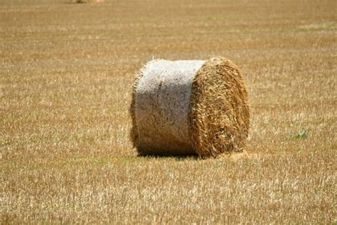 Free Picture Hay Field Haystack Agricultural Agriculture Bale