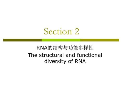 Section 2 Rna结构与功能多样性 Word文档在线阅读与下载 无忧文档