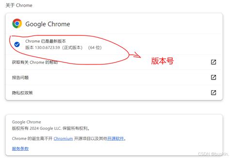 Python爬虫——selenium的基本使用python Selenium使用 Csdn博客