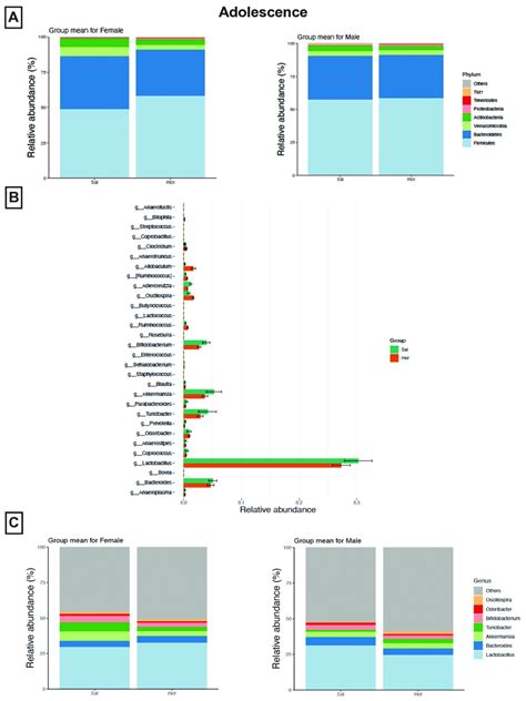Microbial Composition Profiling In Adolescence Neonatal Morphine Download Scientific Diagram
