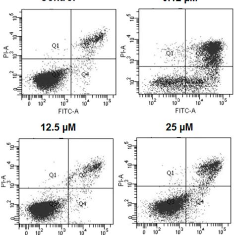 Flow Cytometric Measurement Of Apoptotic Cell Population Cells Were Download Scientific