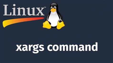 Örneklerle Linuxta Xargs Komutu Nasıl Kullanılır Linux Data Linux
