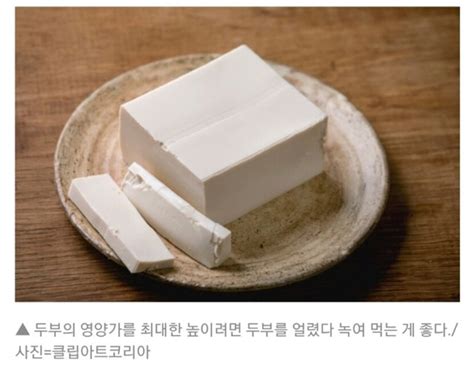모두부·순두부 칼로리 가장 낮은 두부는 꿀팁 캐시피드