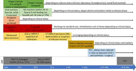 Practical Management Of Severe Acute Pancreatitis European Journal Of