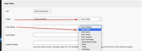 How To Integrate Elementor Form To Elastic Email Advanced Form Integration