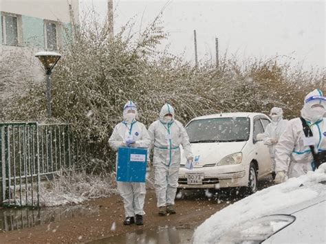 Зөөврийн битүүмжилсэн саналын хайрцгаар 2424 сонгогч саналаа өгчээ Isee Mn