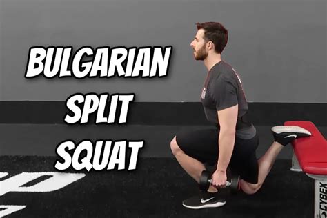 Db Split Squat