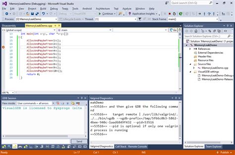 Finding Memory Leaks In Linux Programs With Visualgdb Visualgdb Tutorials