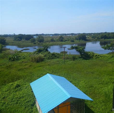 အေဝးသင္ျမန္မာစာ News