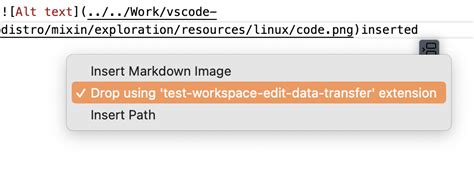 Avoid Extra Data Copies When Using Copypaste Or Drop Apis With Workspace Edits · Issue 175800