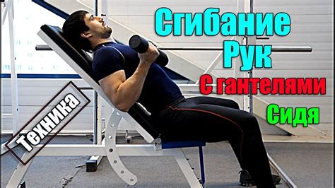 Сгибание рук с гантелями сидя Техника Накачать бицепс Youtube