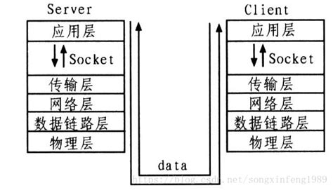 Socket简介及java实例socket 接口实例 Java Csdn博客