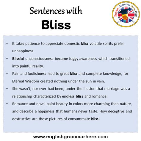 Sentences With Bliss Bliss In A Sentence In English Sentences For Bliss English Grammar Here