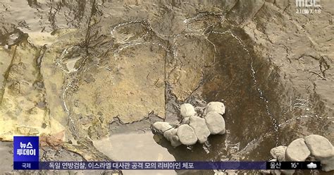 거대 초식공룡 발자국 발견‥발바닥 지문 자국도