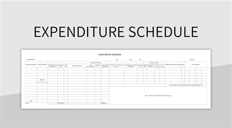 Financial Expenditure Schedule Icon Form Excel Template And Google Sheets File For Free Download