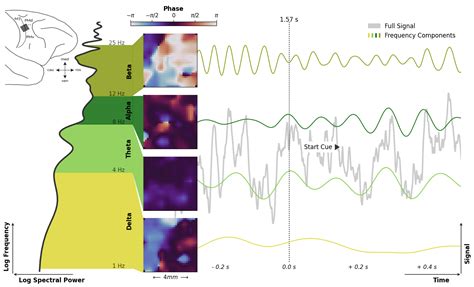 Github Rgutzenvisualizingcorticalwaves Visualizing Electrical Cortical Activity Waves