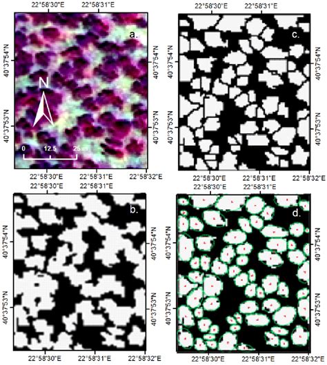 A Subset Of The Quickbird Fused Image B Results From The