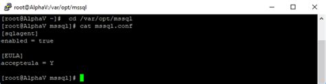 Install Sql Server 2017 On Oracle Vm Virtualbox For Red Hat Part 2