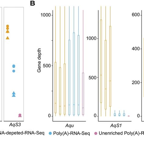 Gene Coverage And Depth Of Rrna Depleted Rna Seq Poly A Rna Seq And Download Scientific