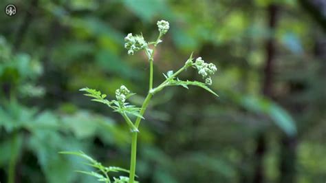 초등 학습지 추천 지루함 없이 네이버 블로그