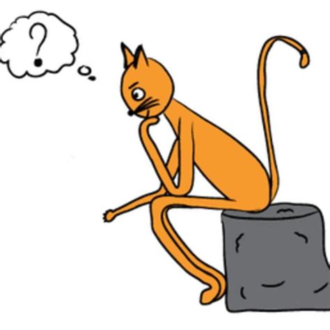 Qualitative Research Methods Coursera Mooc List