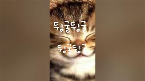 미소가 직접 편집 한 마이타케 구루구루 챌린지 일본노래 미소 미소전용태그 편집 템플릿 아님 ㅎ 추천추천추천추천추천추천추천추천추천추천 리즘아도와줘