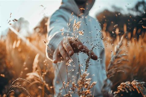 New Selective Focus Photo Of Man Dropping Grasses Image Background Beautiful Focus Man