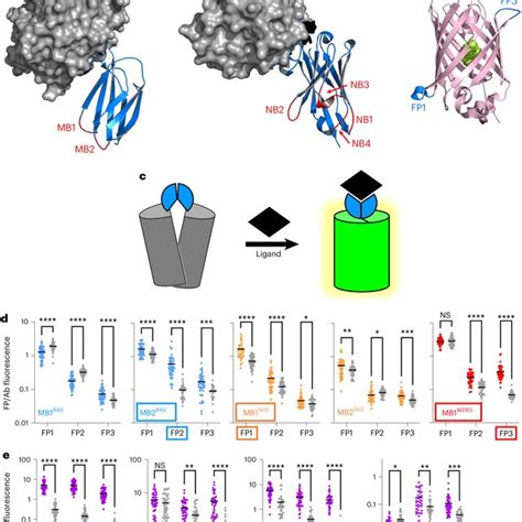 Biosensor Design And Screening Y Atom Sensors In Hek 293t Cells A Download Scientific Diagram