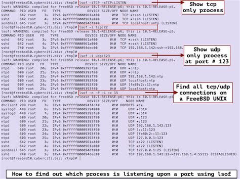 Freebsd Unix Find Out Which Programs Are Listening On A Given Port Number Nixcraft